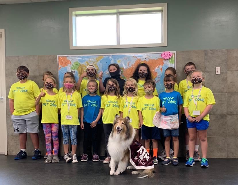 KID ZONE SUMMER CAMP – Waggie Pet Zone