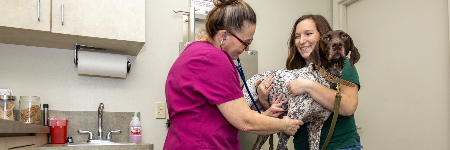 Veterinary Wellness Zone: Expert Pet Care in College Station